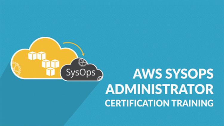 AWS SysOps Certification - The Learning Artistry
